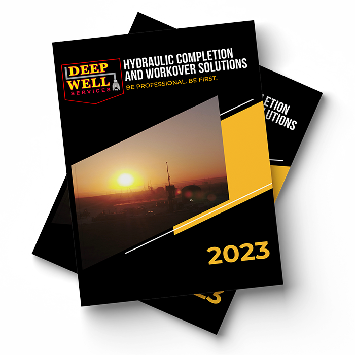 Services - Deep Well Services